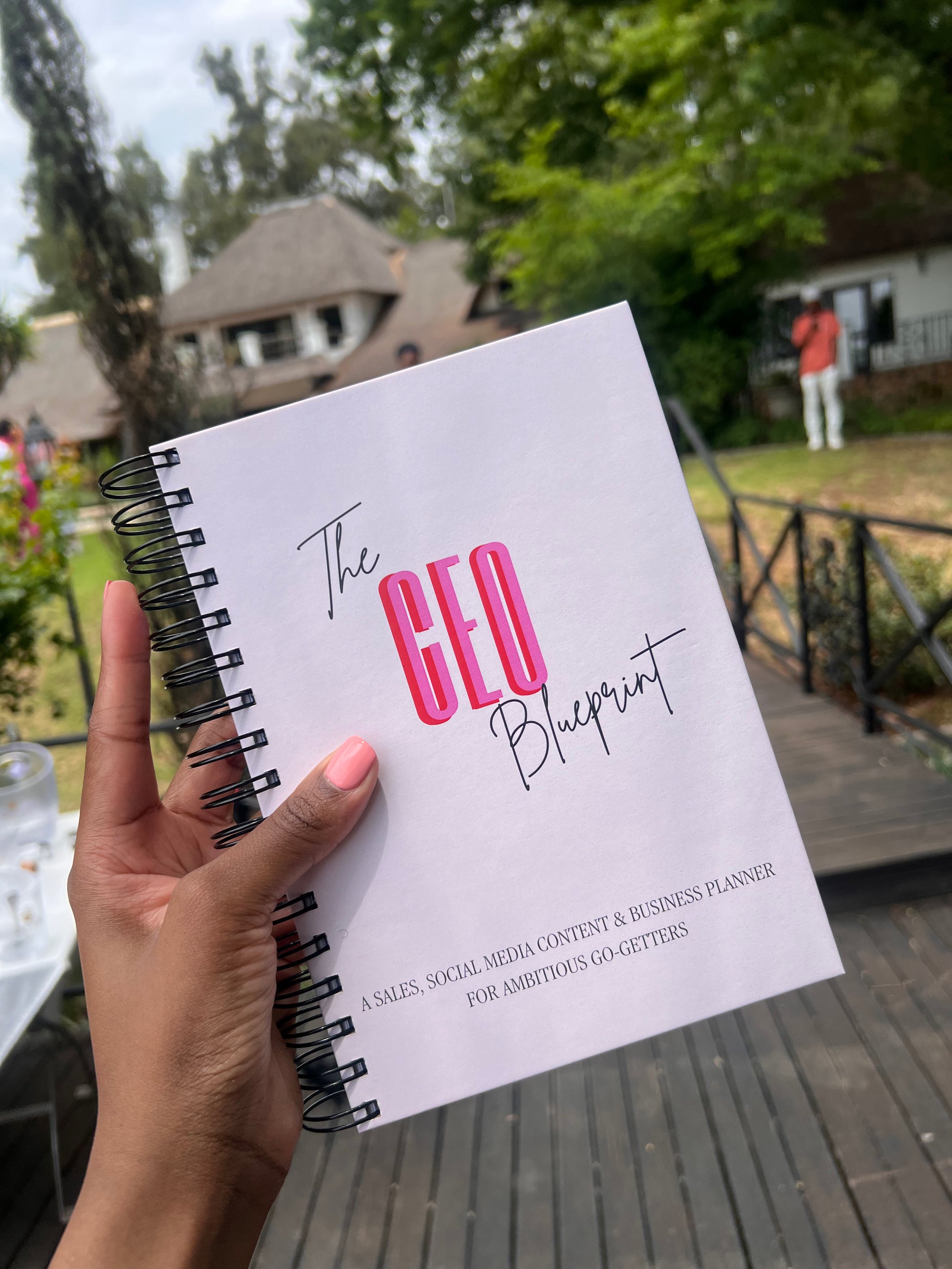 The CEO Blueprint – RESONATE HUB